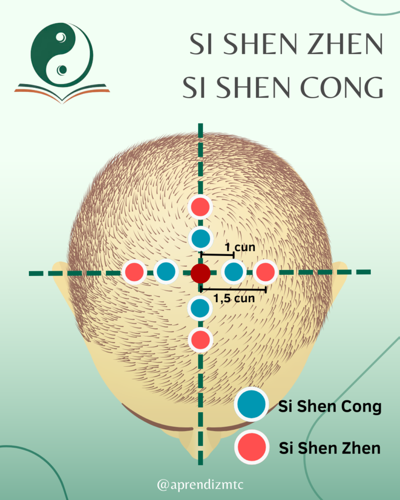 Si Shen Zhen x Si Shen Cong - Aprendiz de Medicina Chinesa | Estudo ...