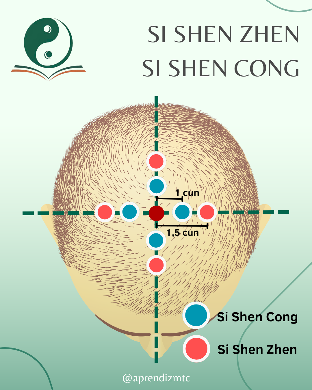 Si Shen Zhen x Si Shen Cong - Aprendiz de Medicina Chinesa | Estudo ...